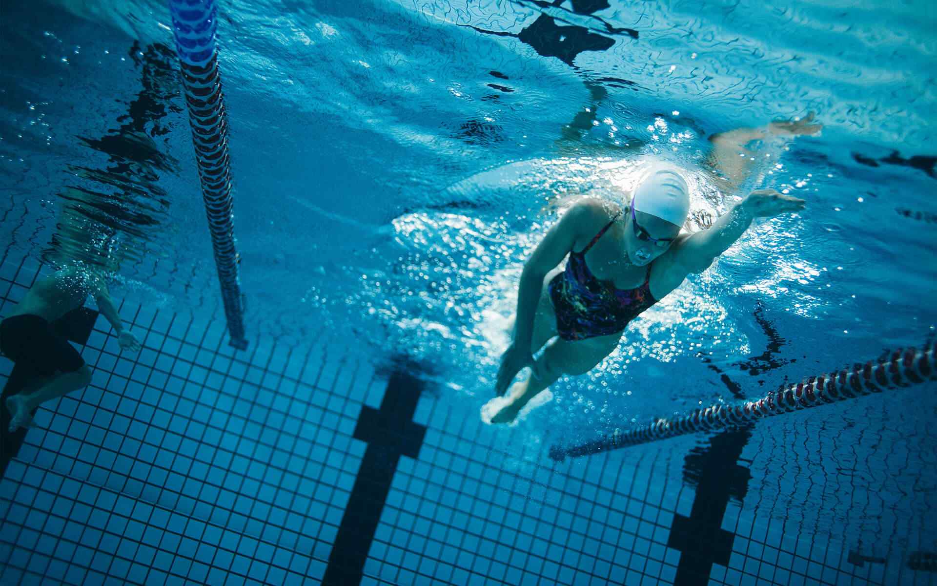 Water polo – Stanford Diving Club